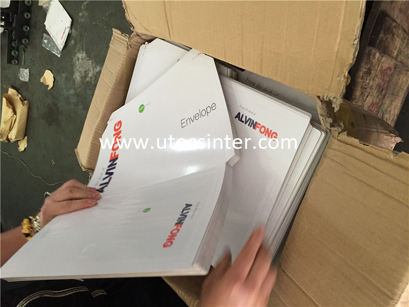 Express Mail Envelope Window Patching Machine